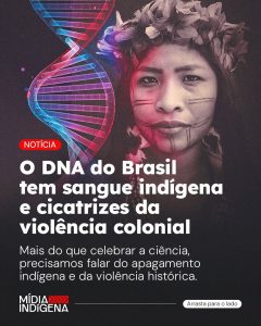 Entenda quais foram os significados de ‘pardo’ nos últimos 80 anos e ...