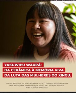 Entenda quais foram os significados de ‘pardo’ nos últimos 80 anos e ...